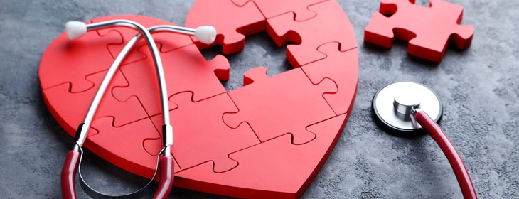 Echocardiogram Test In Pimlico | Echocardiogram Clinic Near Me